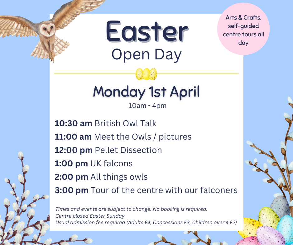 Easter Weekend 2024 - Feathers and Fur