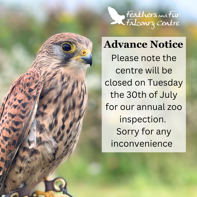 CENTRE CLOSED 30th JULY - Feathers and Fur